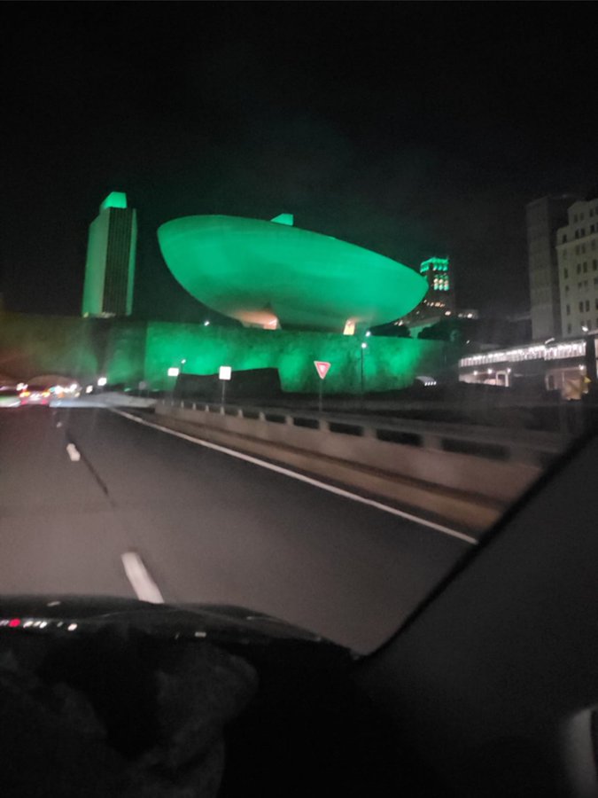 The World Glows Green in Celebration of International DM Awareness Day ...